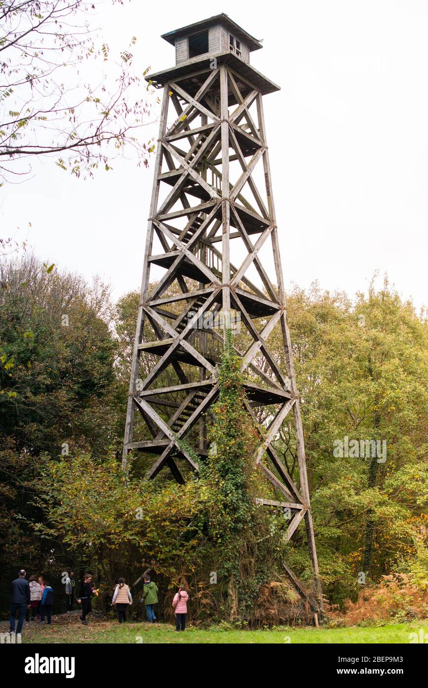 A high abandoned wooden tower among trees Stock Photo - Alamy