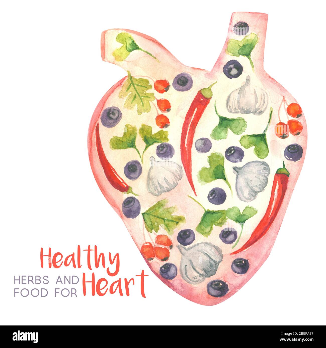 Internal organic Cut Out Stock Images & Pictures - Alamy