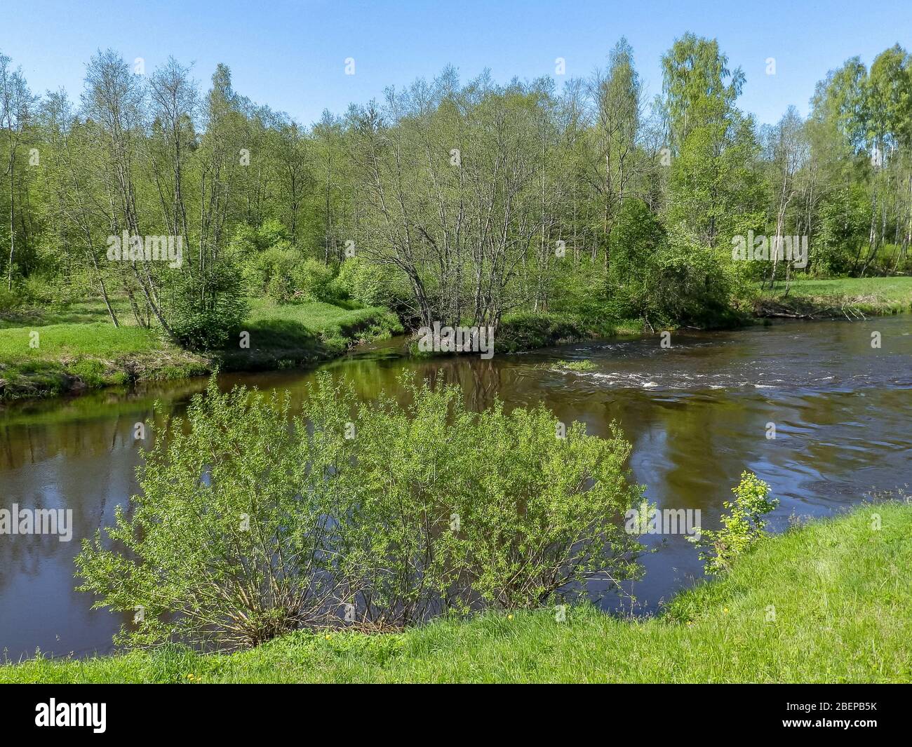 landscape with the first colorful spring greenery, beautiful river bank ...