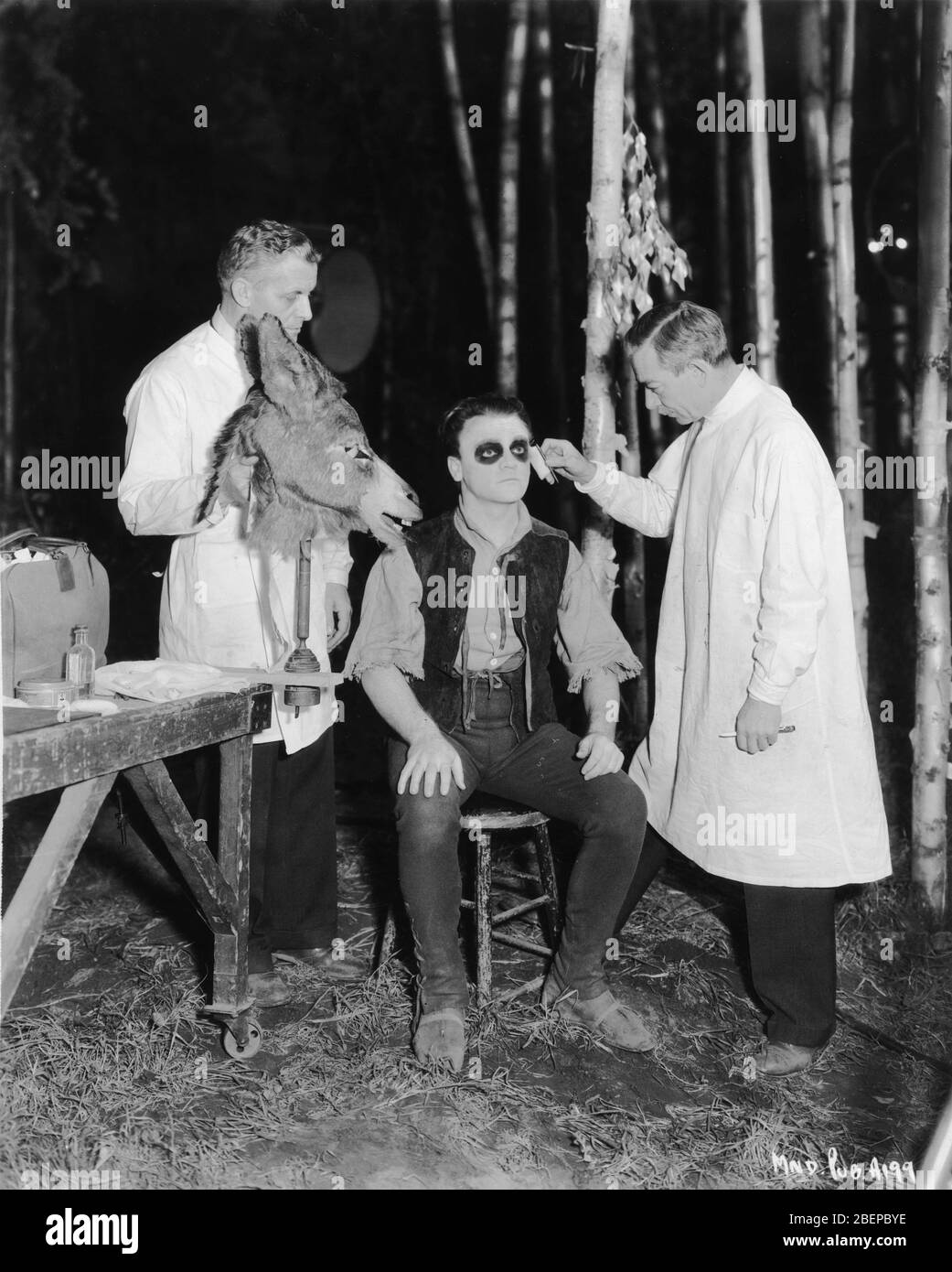 Donkey from behind Black and White Stock Photos & Images - Alamy