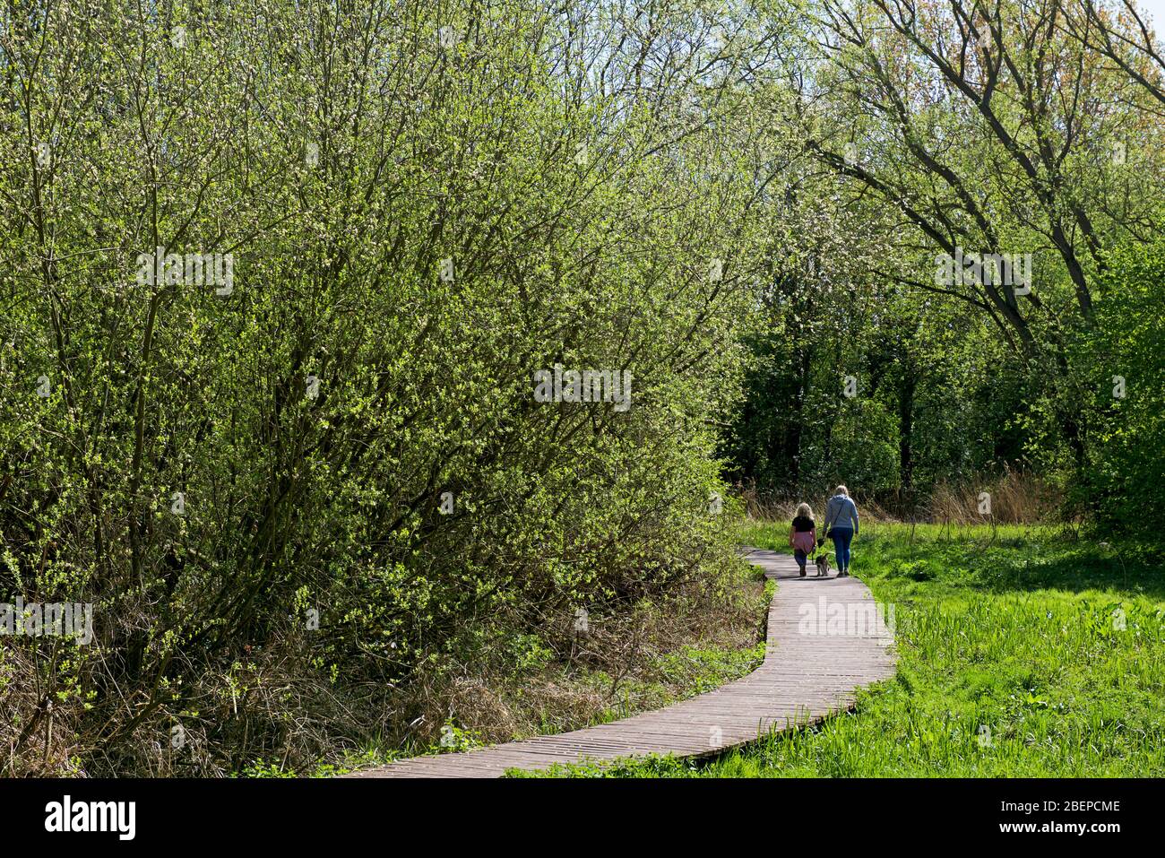 Woman and girl walking dog at Howden Marsh, a local nature reserve in ...