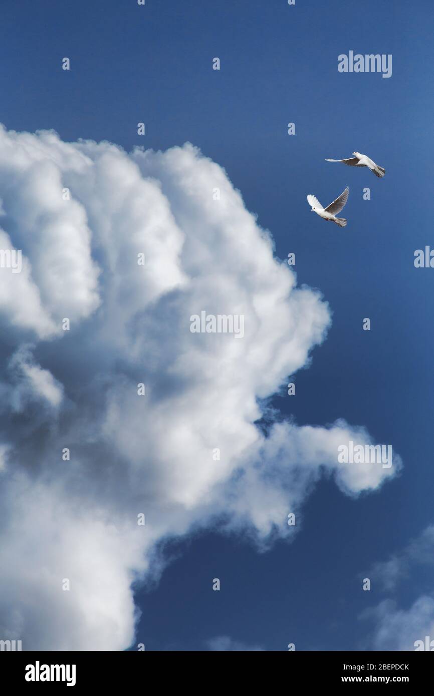 Cloud in fist shape in sky with pigeons. Fist shaped cloud in blue sky ...