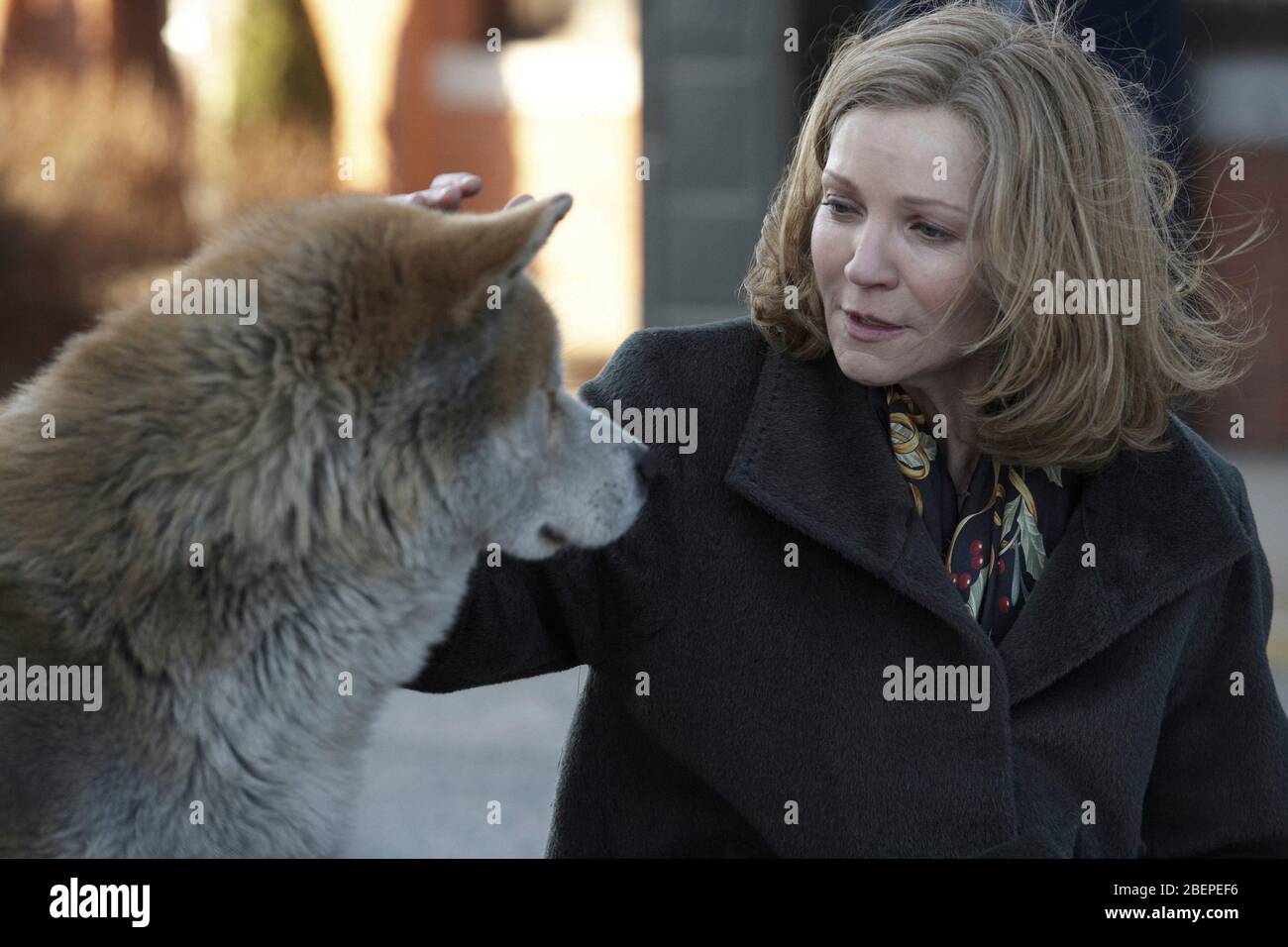 Hachi hachi hi-res stock photography and images - Alamy