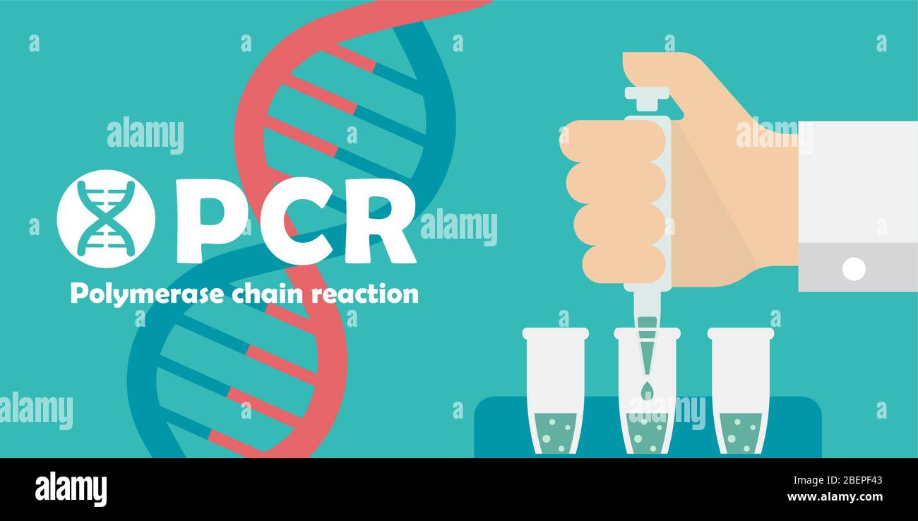 PCR (Polymerase chain reaction) test banner illustration / Novel ...