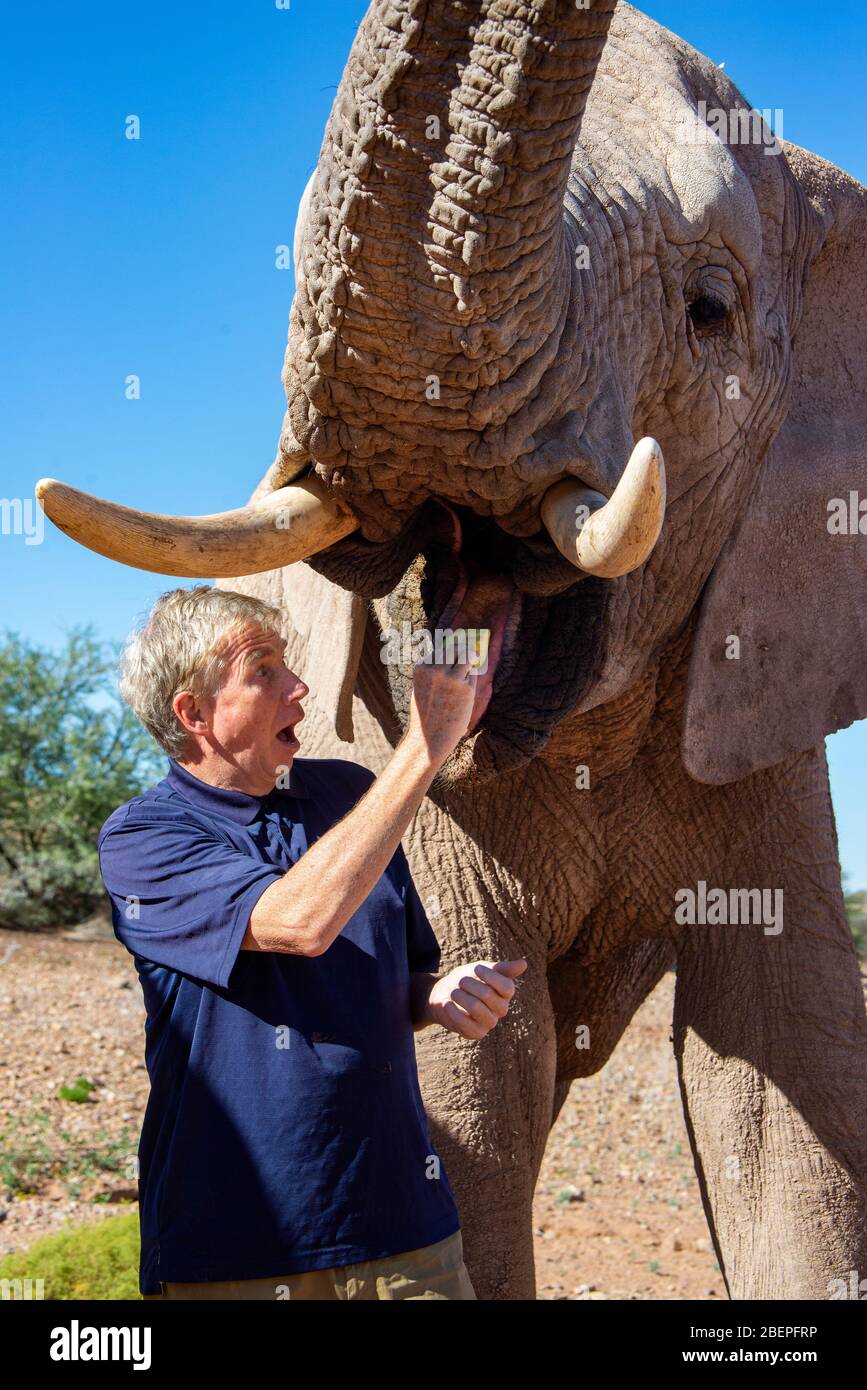 Elephants hug hi-res stock photography and images - Alamy