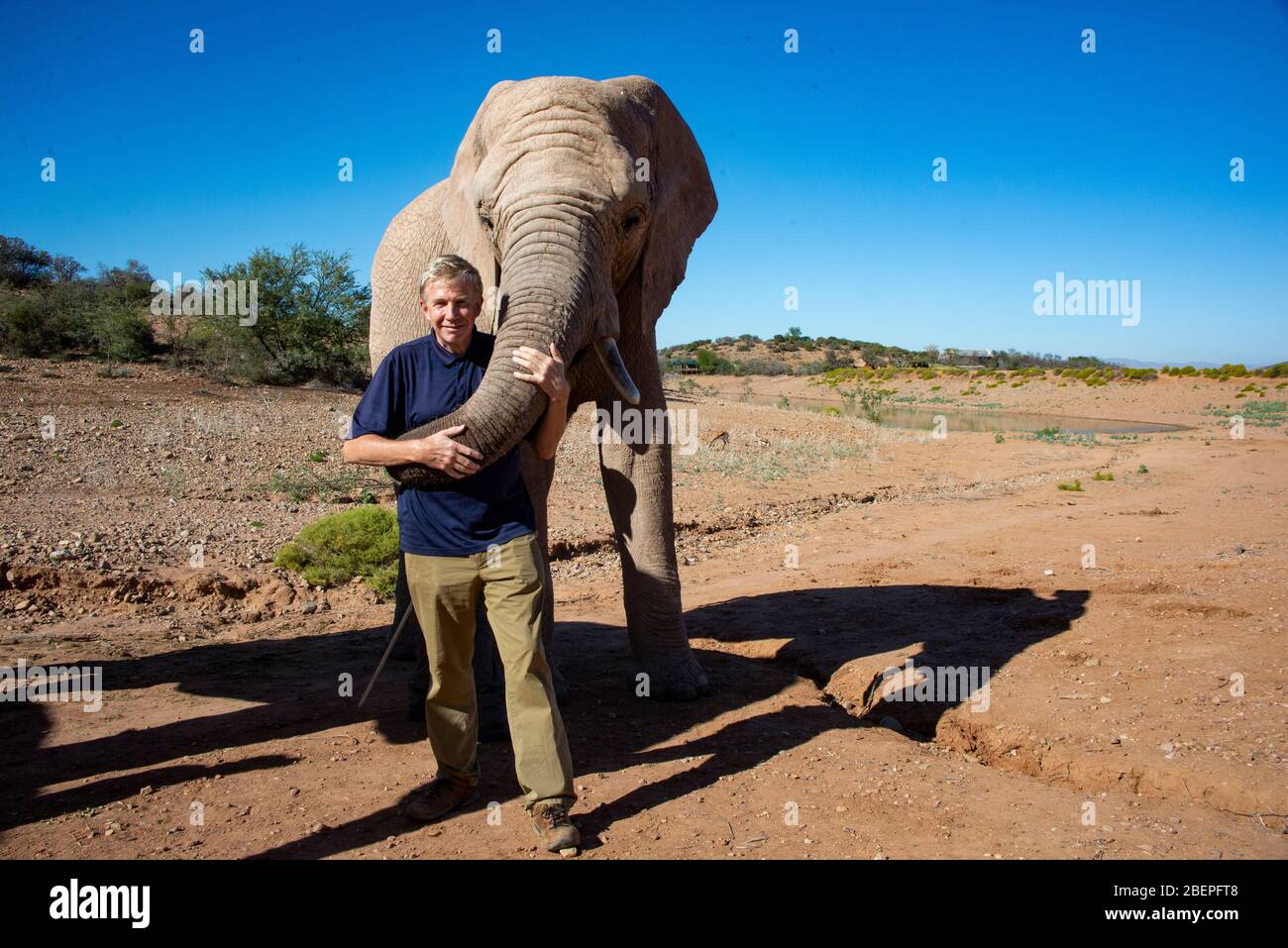 A happy man enjoys the attention of a giant elephant. The tourist met ...