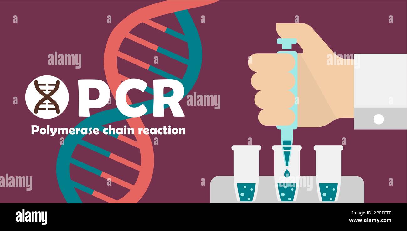 PCR (Polymerase chain reaction) test banner illustration / Novel ...