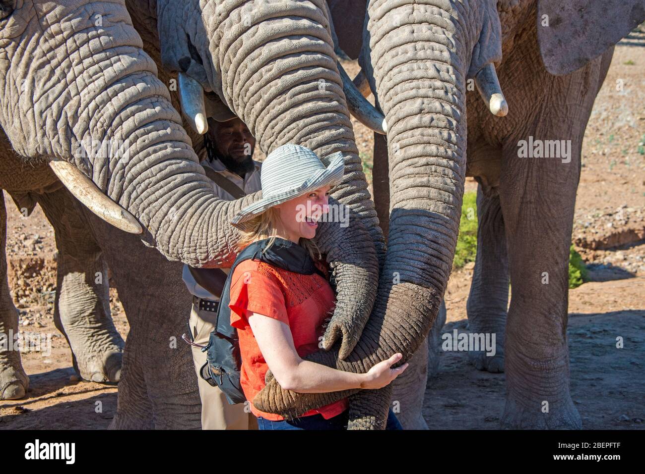Elephants hugging hi-res stock photography and images - Alamy