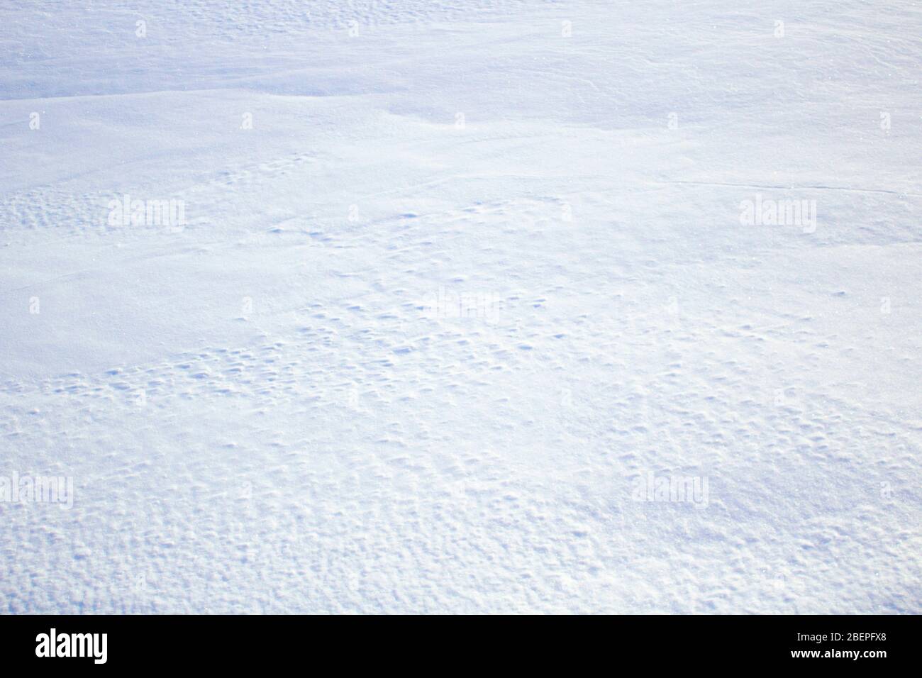 Snow Texture at Sunny day. Neutral solid white background Stock Photo ...