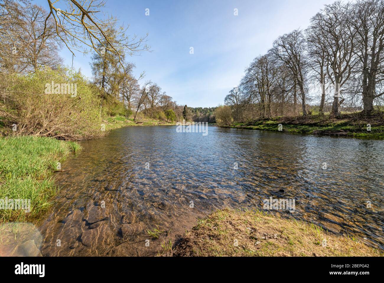 The Teviot near Kelso Stock Photo - Alamy