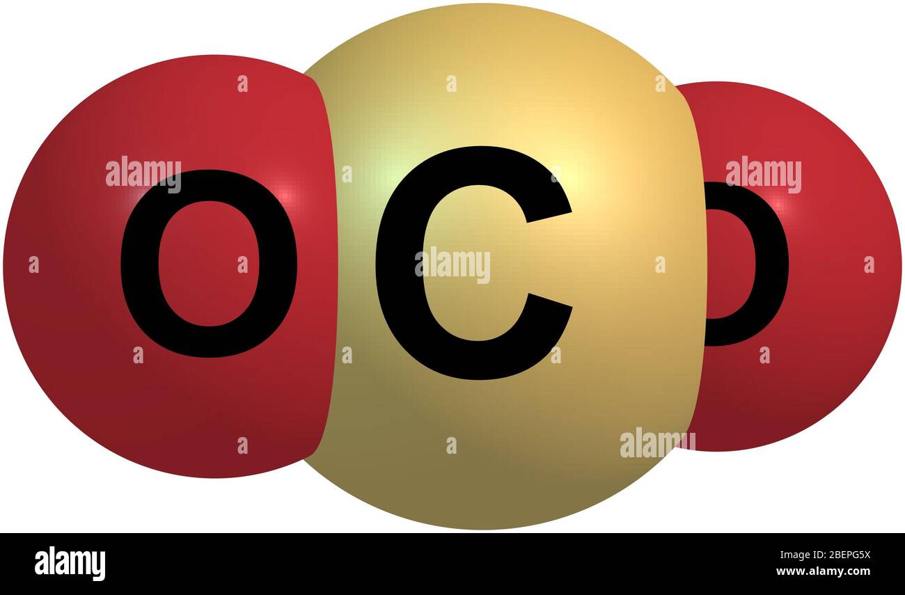 Carbon dioxide (CO2) is a colorless, odorless gas vital to plant life ...
