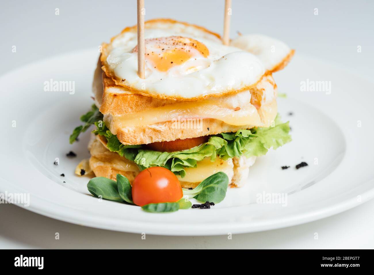 Grilled toast sandwich with cheese and sunny side up fried egg.Two ...