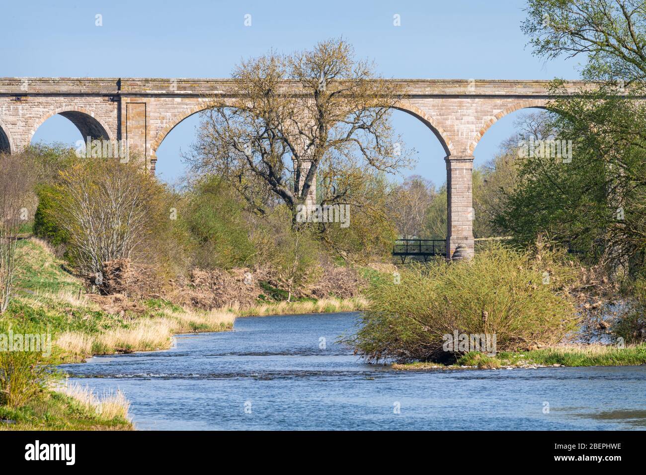 Roxburgh Viaduct, Teviot River, Scotland Stock Photo - Alamy