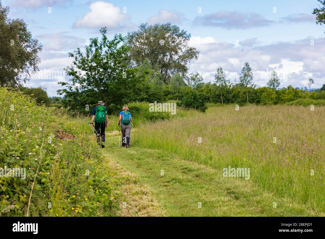 Walker couple summer man hi-res stock photography and images - Alamy