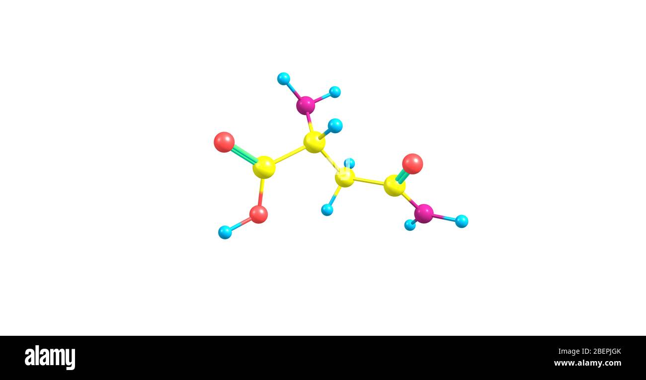 Asparagine is one of the 20 most-common natural amino acids on Earth ...