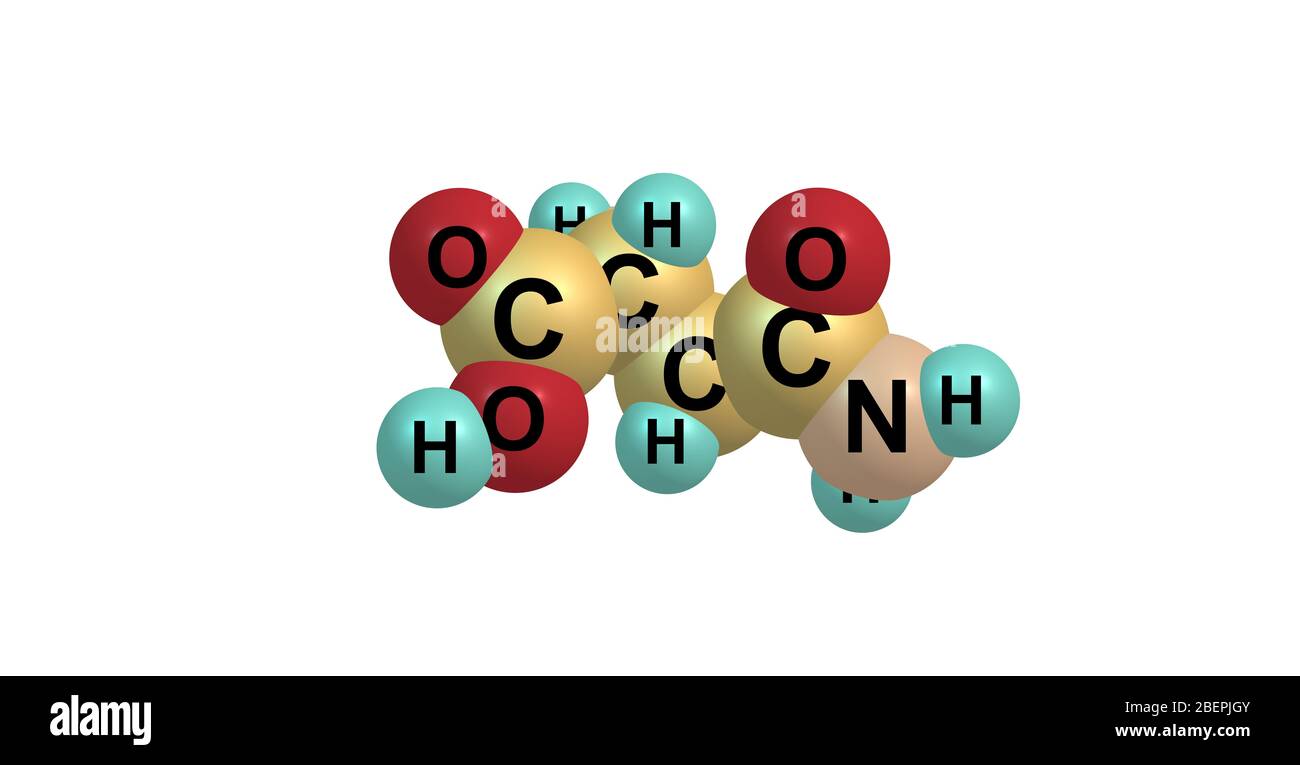 Asparagine is one of the 20 most-common natural amino acids on Earth ...