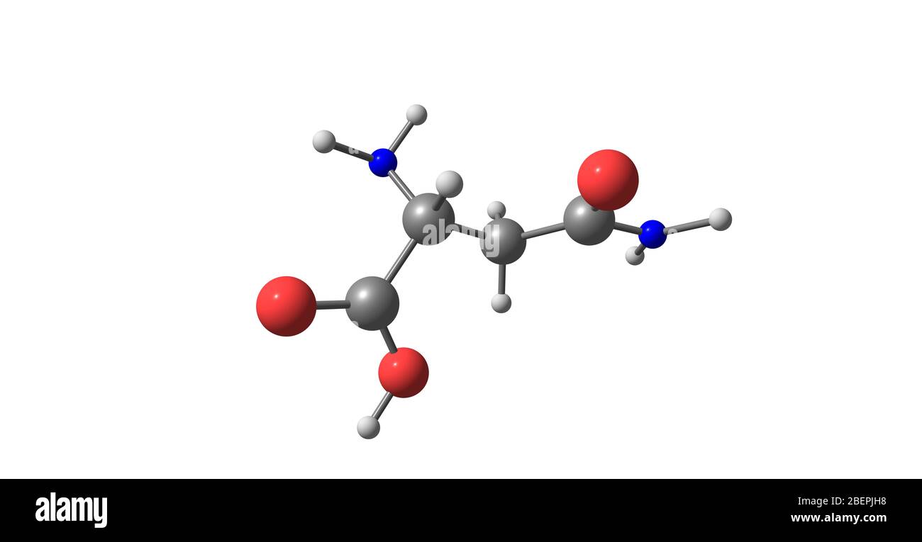 Asn Amino Acid Side Chain