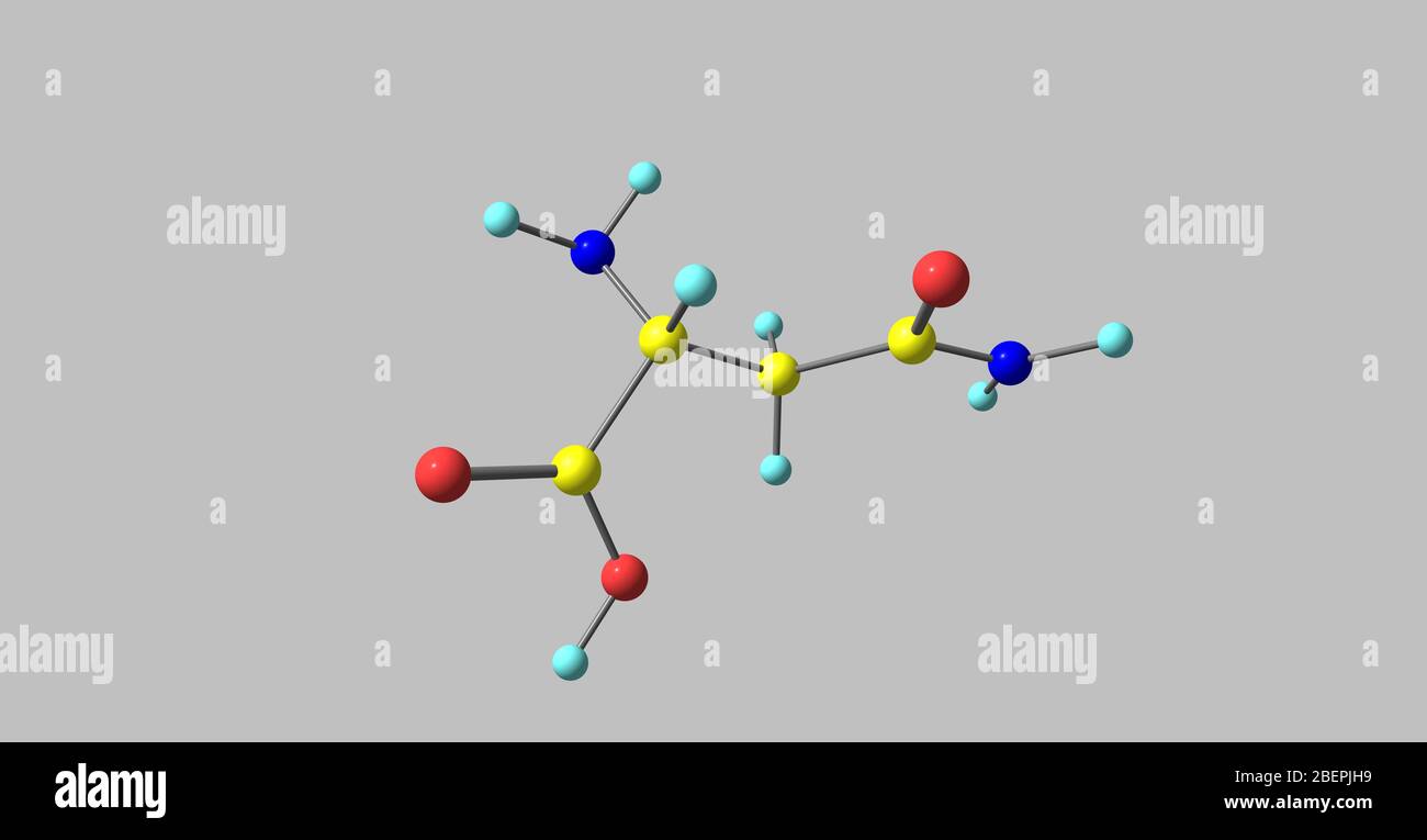 Asparagine is one of the 20 most-common natural amino acids on Earth ...