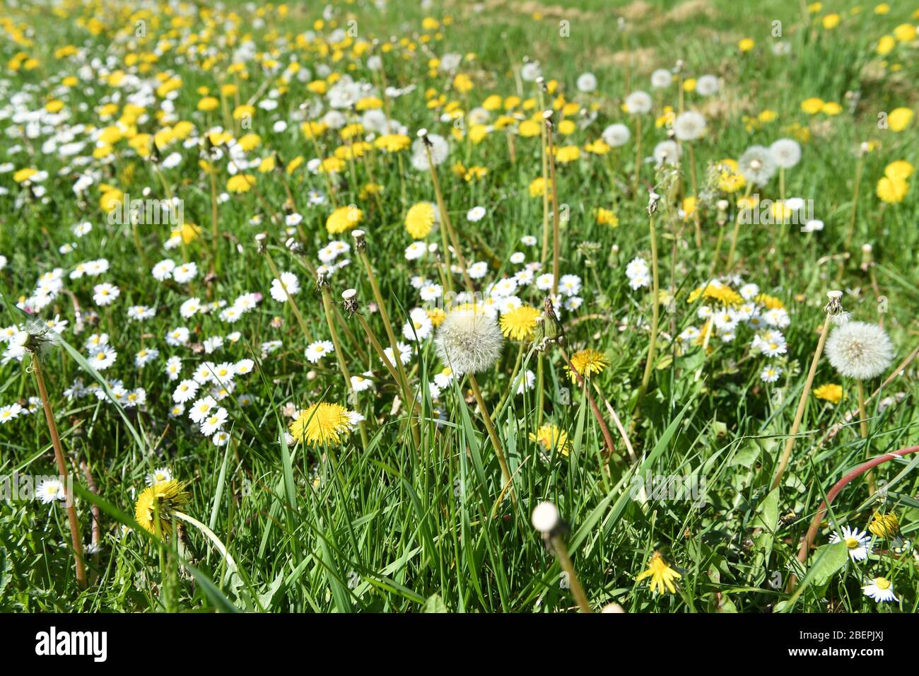 Milton keynes civic offices hi-res stock photography and images - Alamy