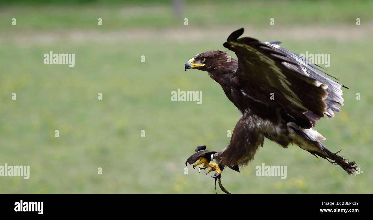 Insrgimanto hi-res stock photography and images - Alamy