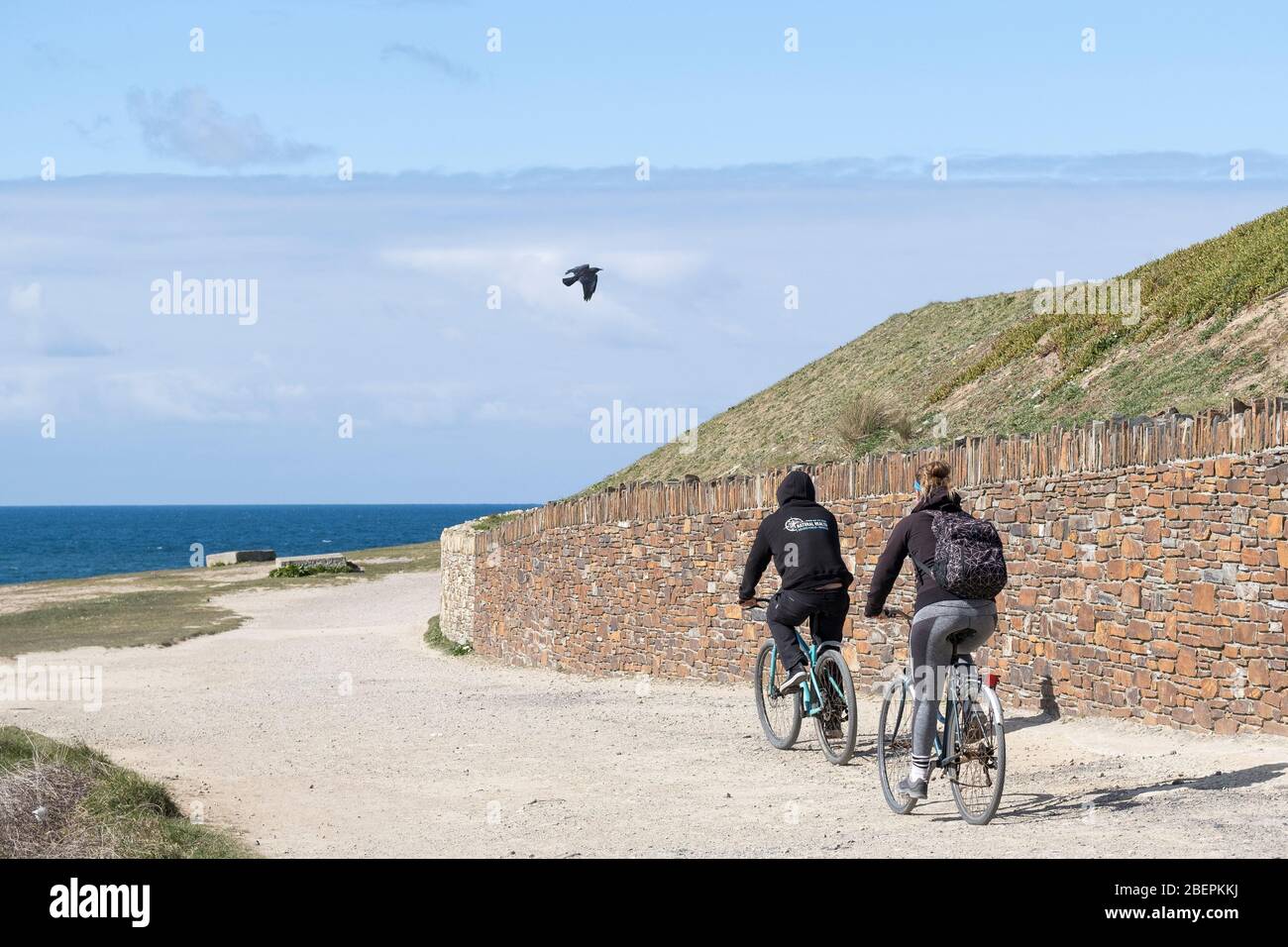 A crow flying overhead as two people cycle along the coastal path at ...