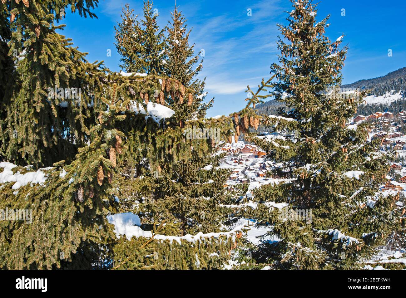Panoramic view down snow covered valley in alpine mountain range with ...