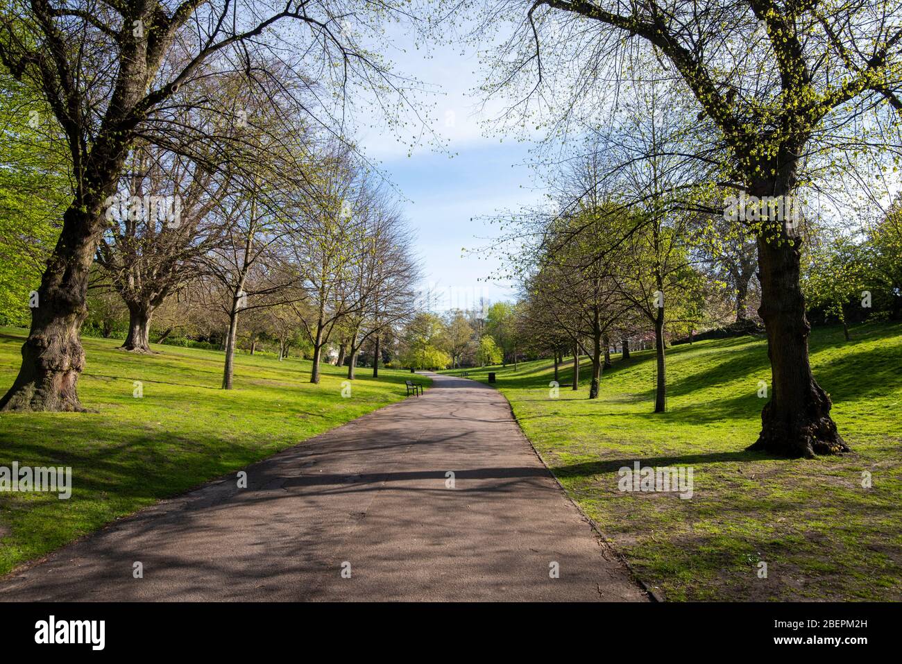 Spring at the Arboretum park in Nottingham City, captured during the ...