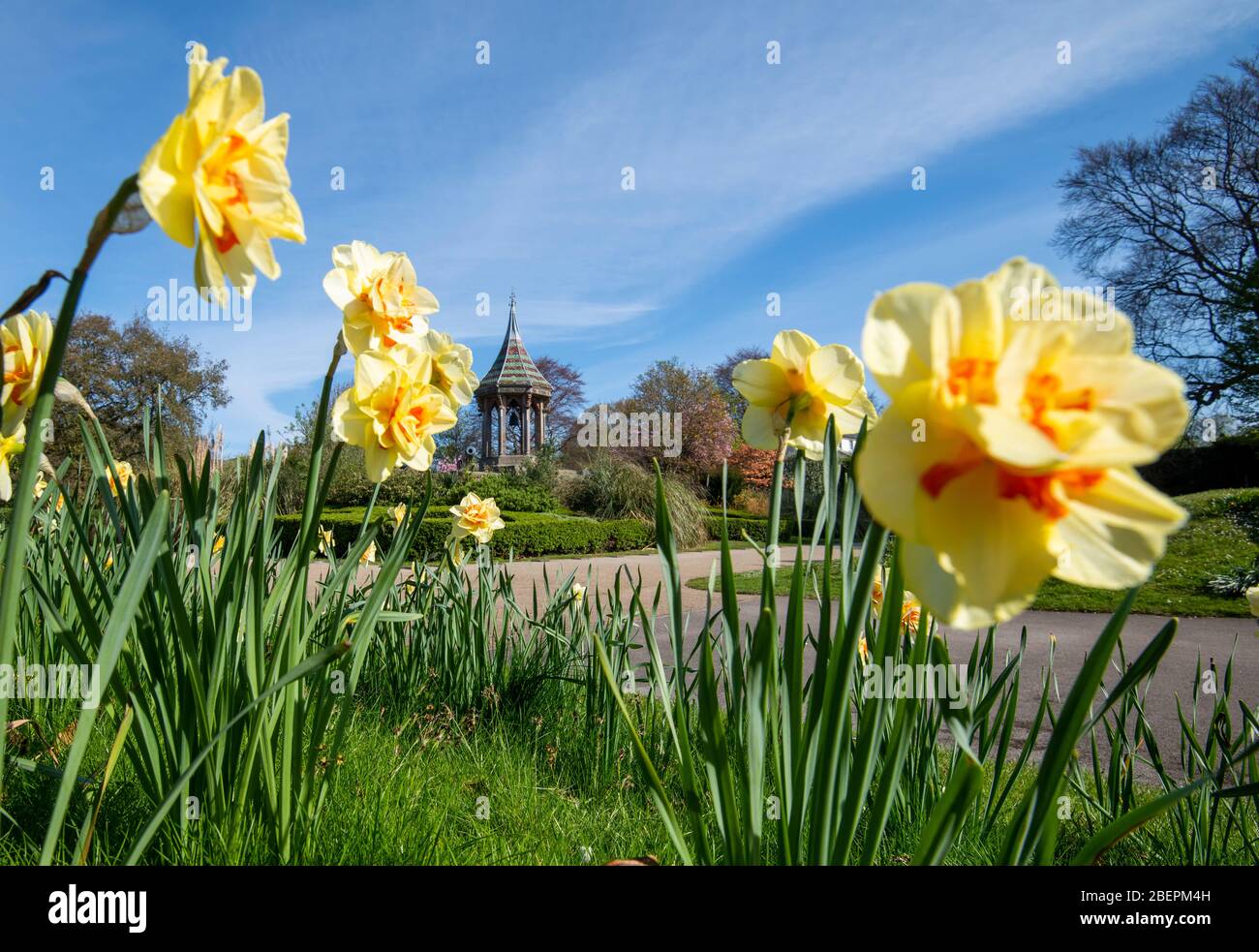 Spring at the Arboretum park in Nottingham City, captured during the ...