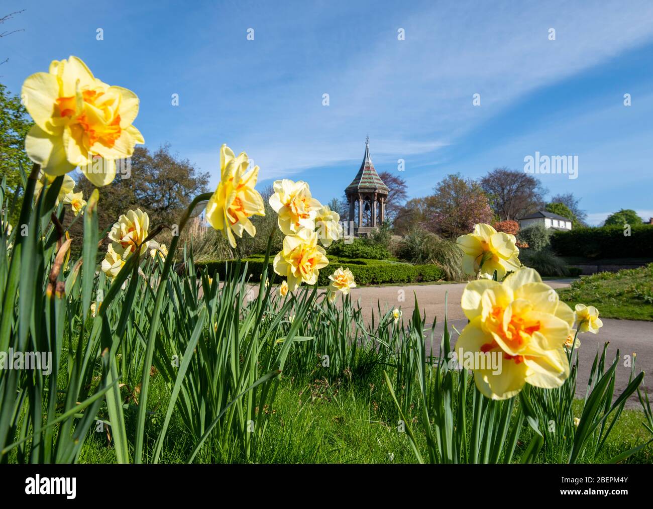 Spring at the Arboretum park in Nottingham City, captured during the ...
