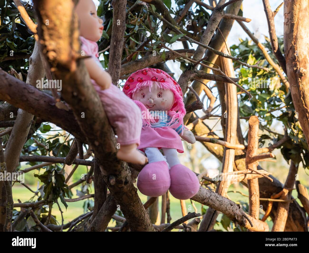 Two girls sitting on a tree hi-res stock photography and images - Alamy
