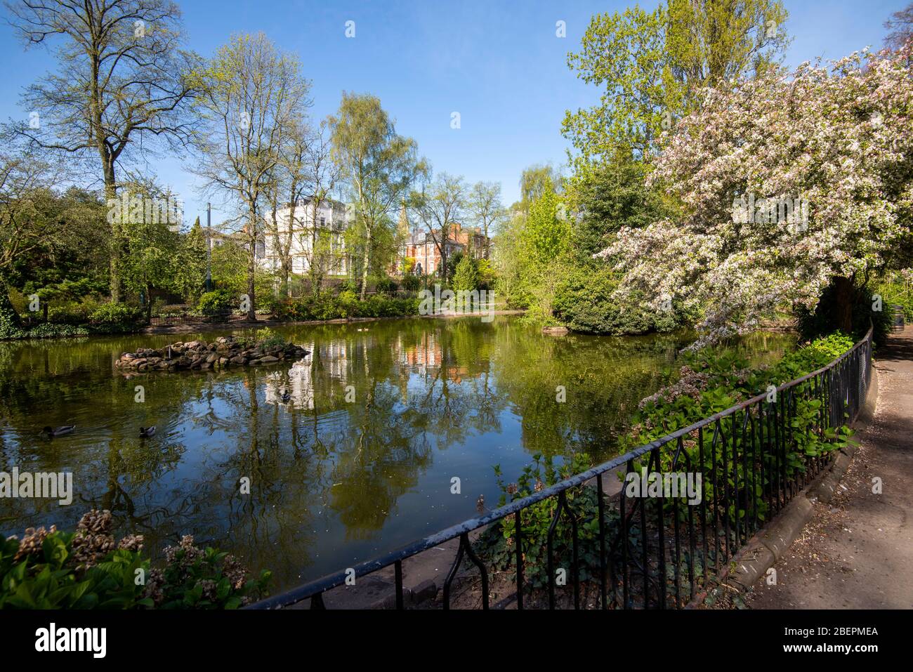 Spring at the Arboretum park in Nottingham City, captured during the ...