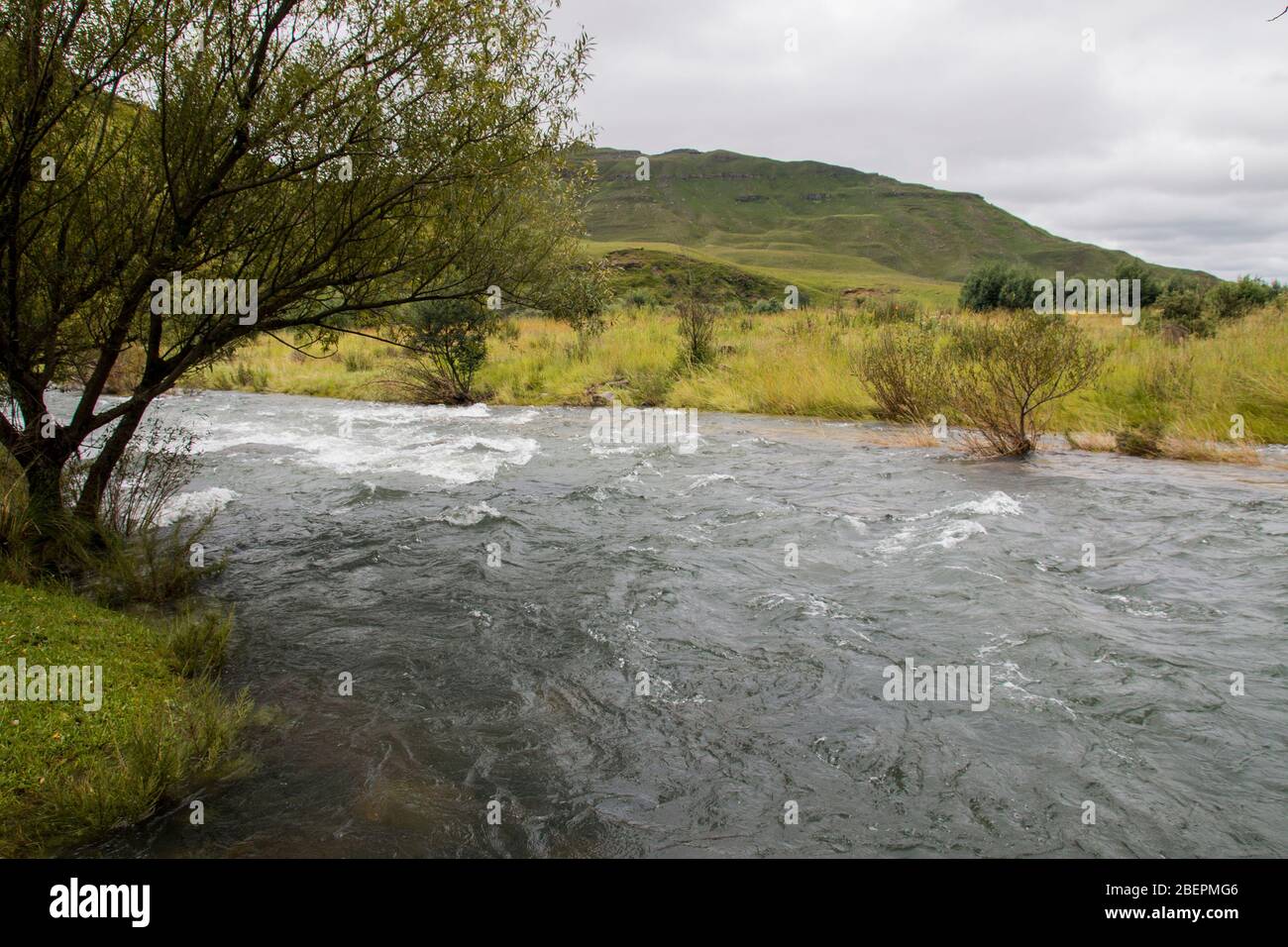 Fast flowing flooding river after heavy rains Stock Photo - Alamy