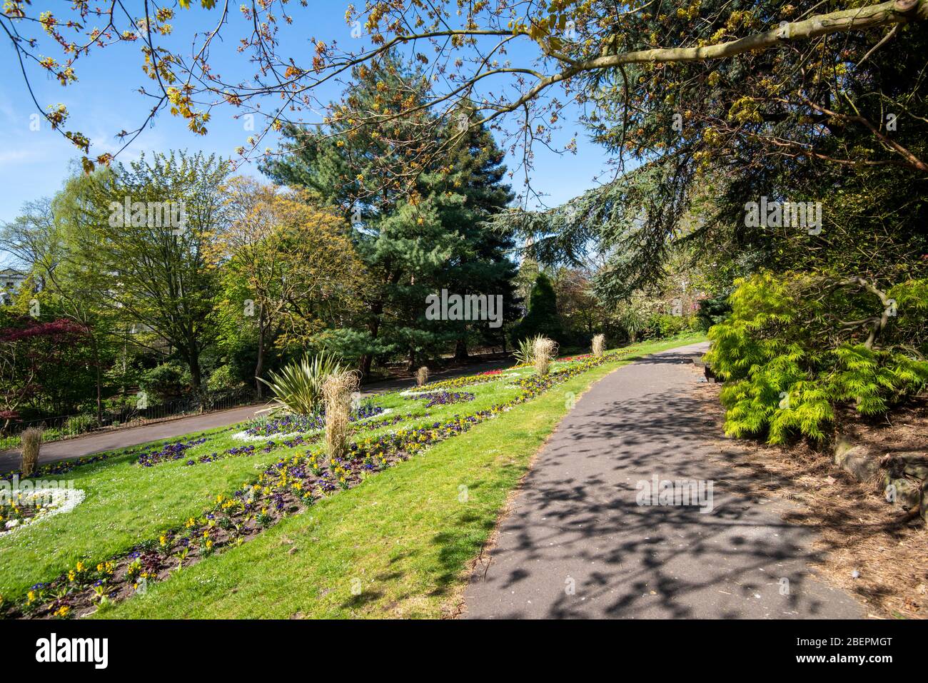 Spring at the Arboretum park in Nottingham City, captured during the ...