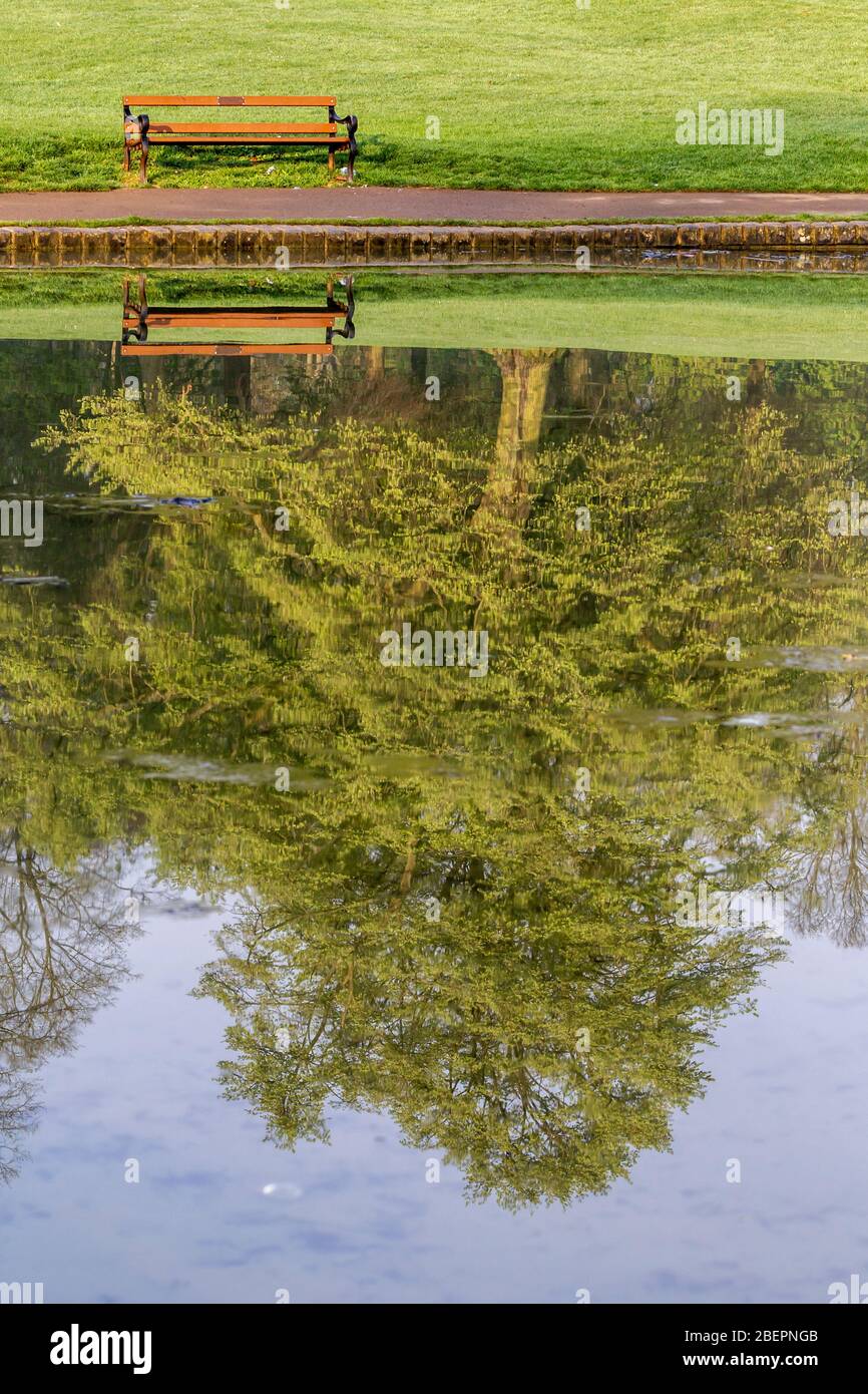Reflection on tree and park bench in the Boating lake in Abington Park ...