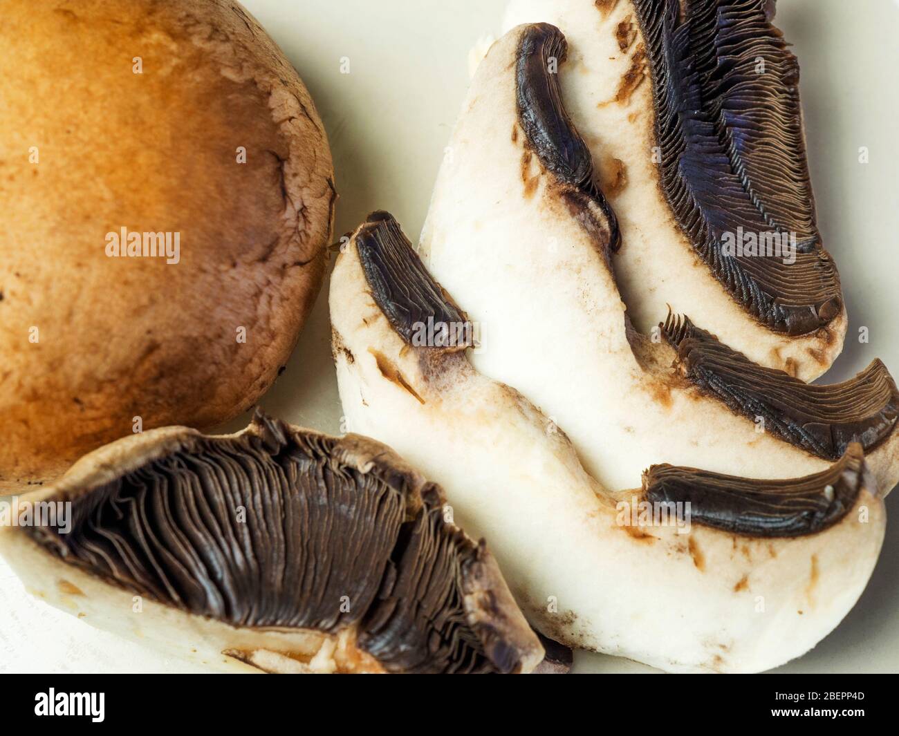 Chestnut mushroom hi-res stock photography and images - Alamy