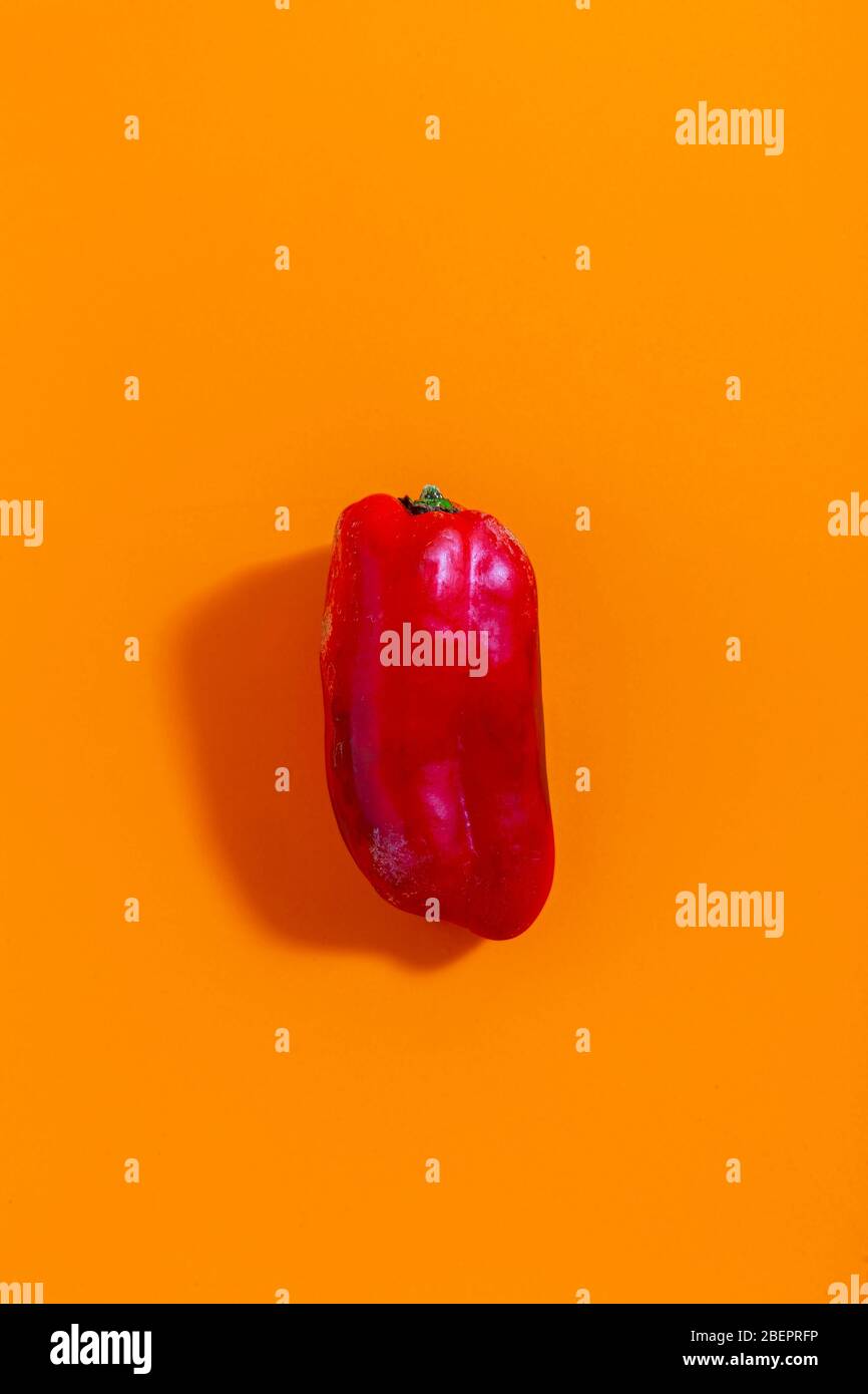 Scratchy red bell peper isolated on orange background, top view ...