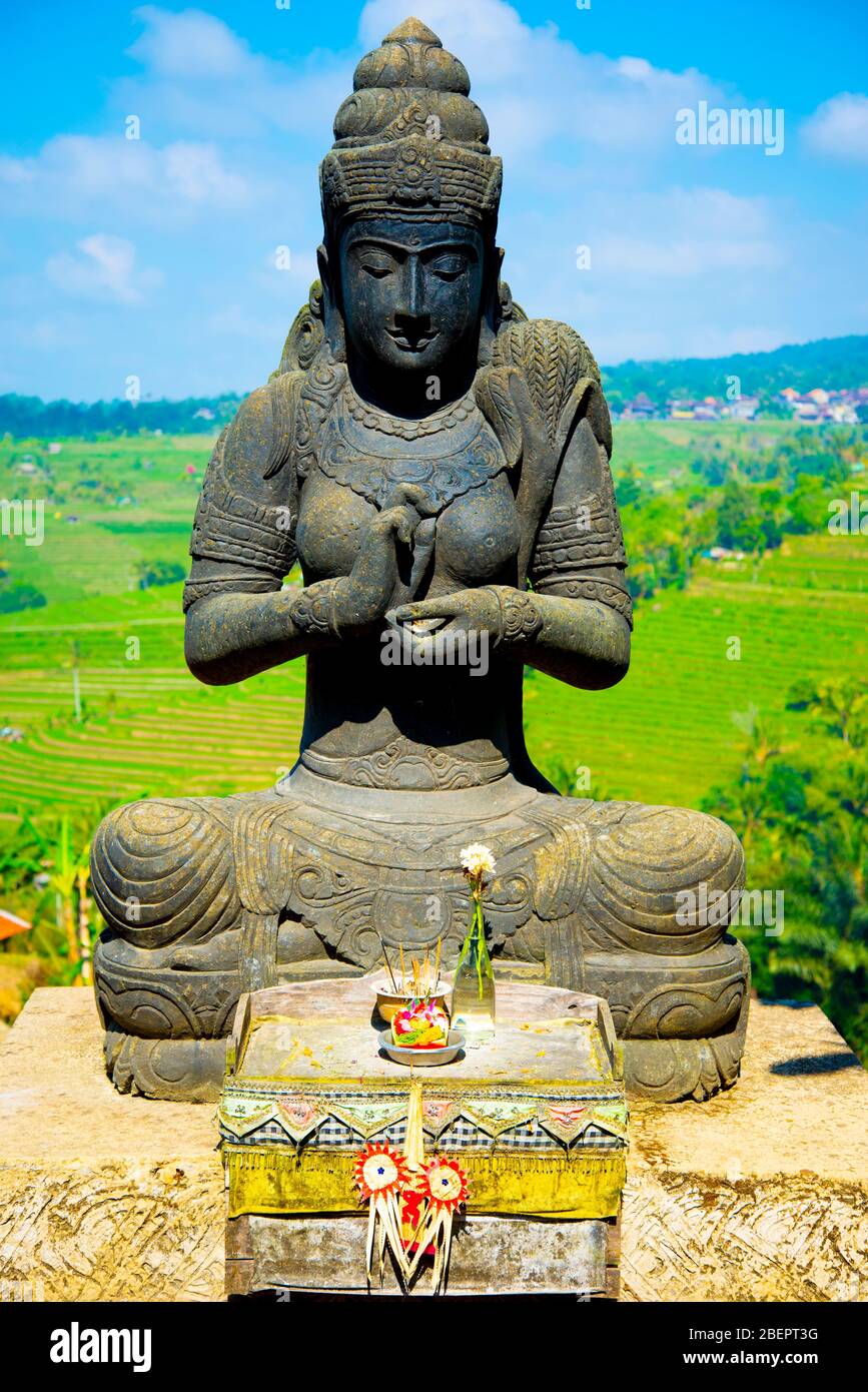 Bali canang hi-res stock photography and images - Alamy