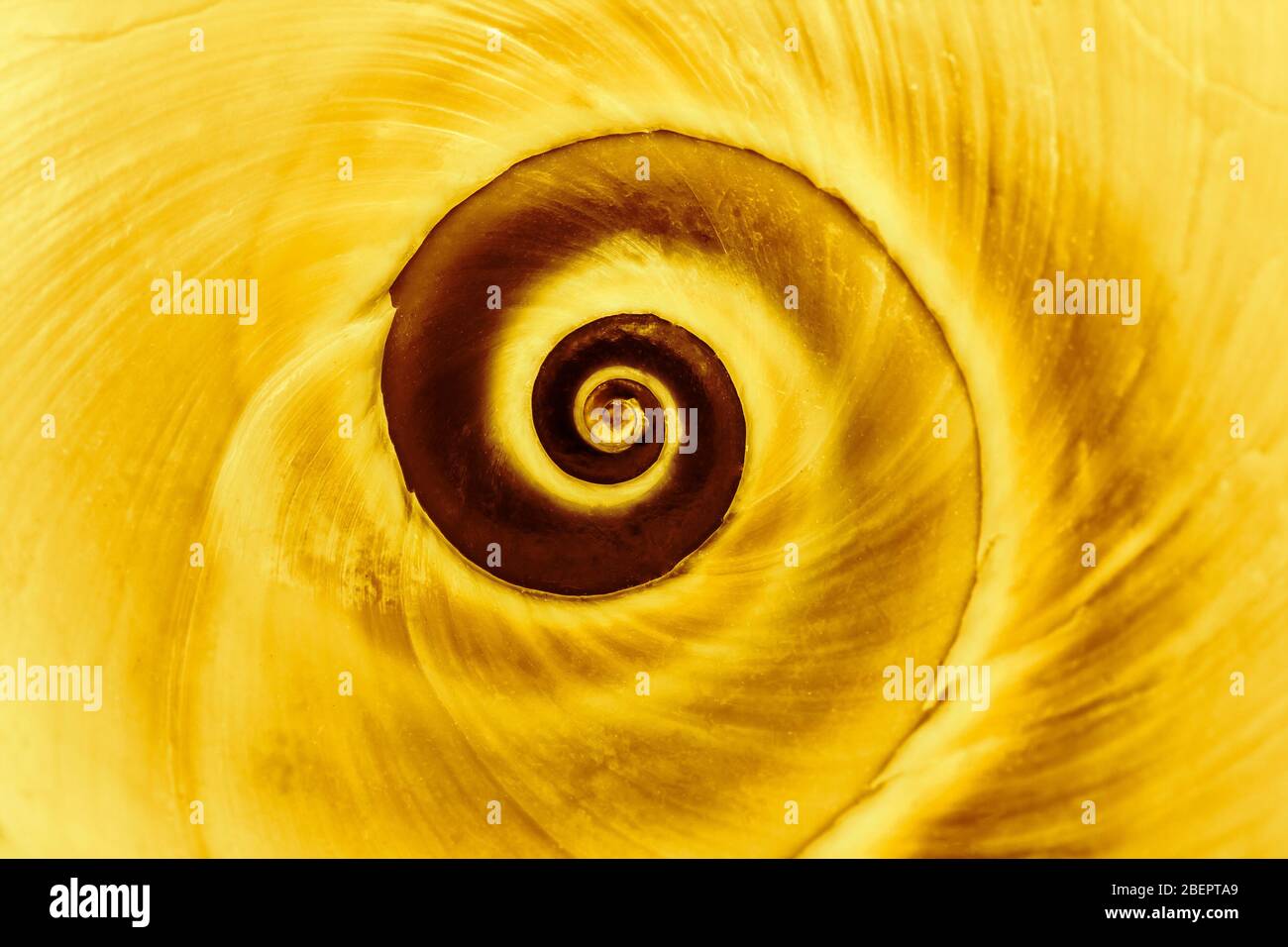 Yellow spiral hi-res stock photography and images - Alamy