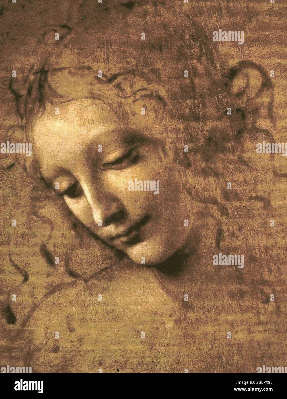 The Girl Head by Leonardo Da Vinci 1508 . The National Gallery in Parma ...