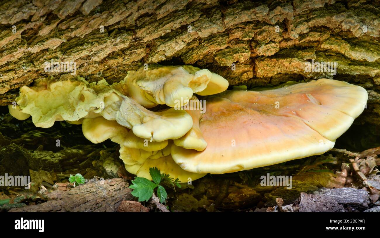 Fallen stool hi-res stock photography and images - Alamy