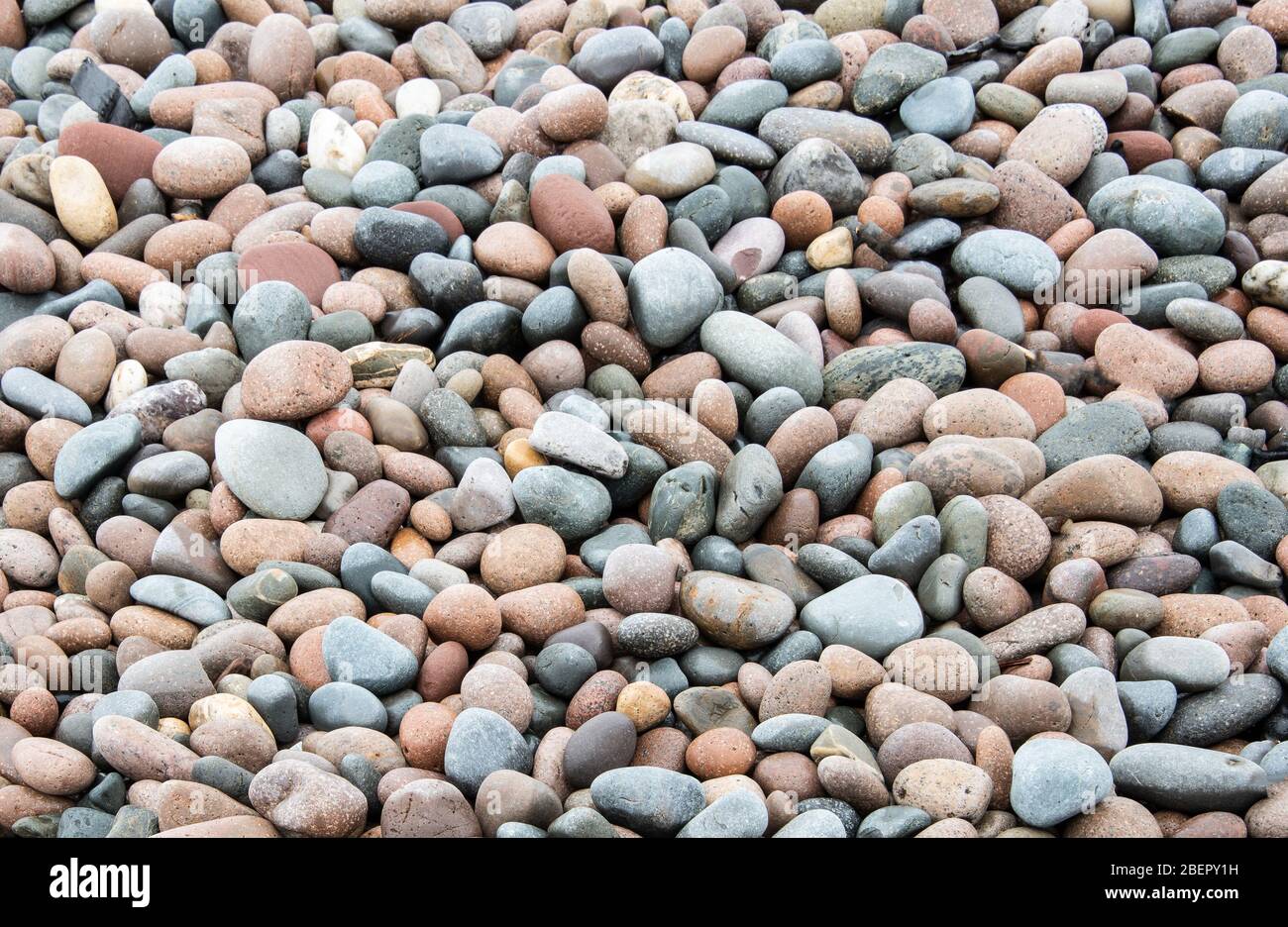 Multi coloured pebbles on a beach Stock Photo - Alamy
