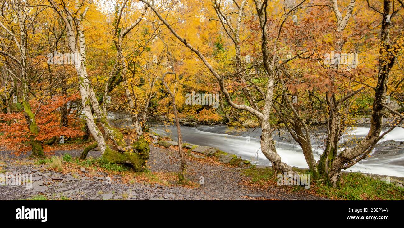 Autumn Lake North Wales Stock Photo - Alamy