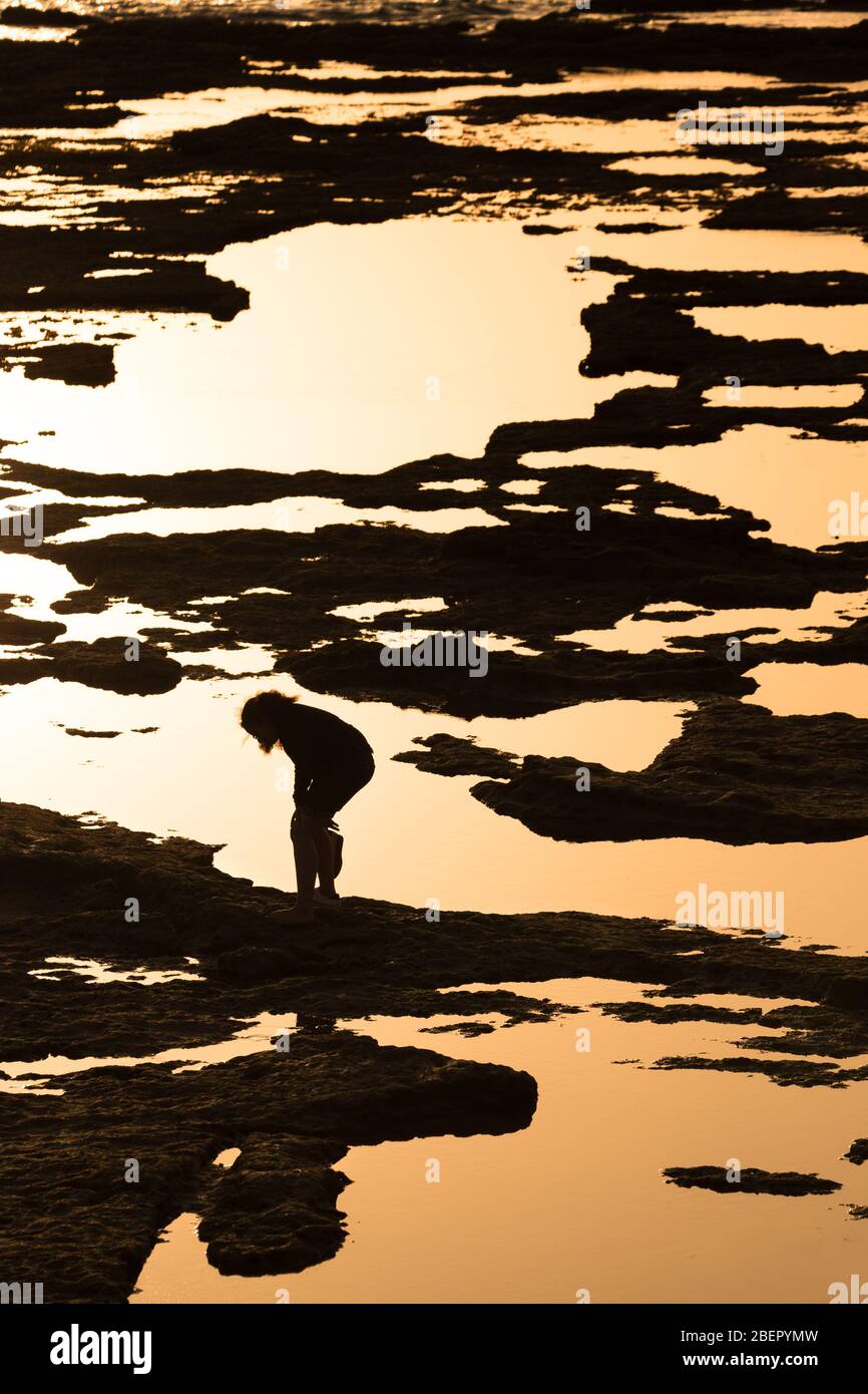 Silhouette of a child exploring rock pools at sunset, Akko, Israel ...