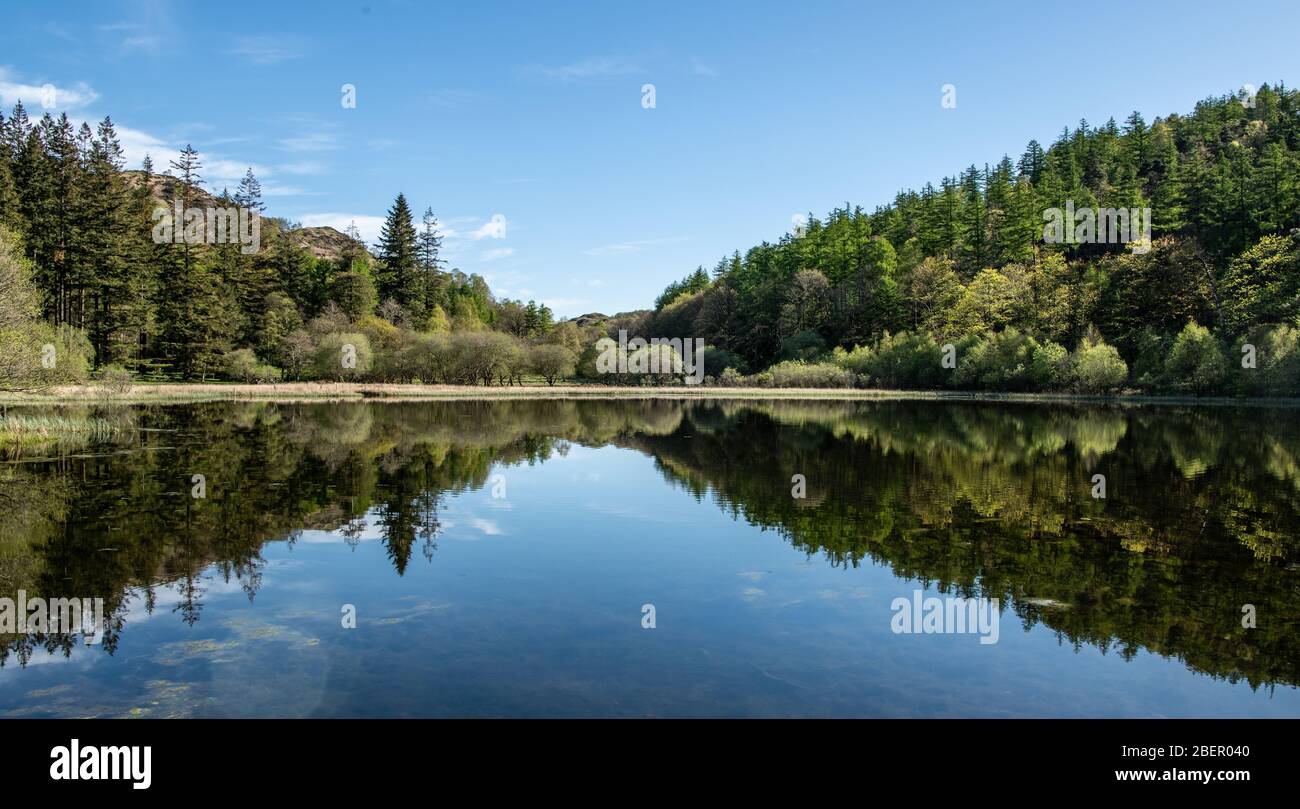 Yew Tree Tarn Lake District High Resolution Stock Photography and ...