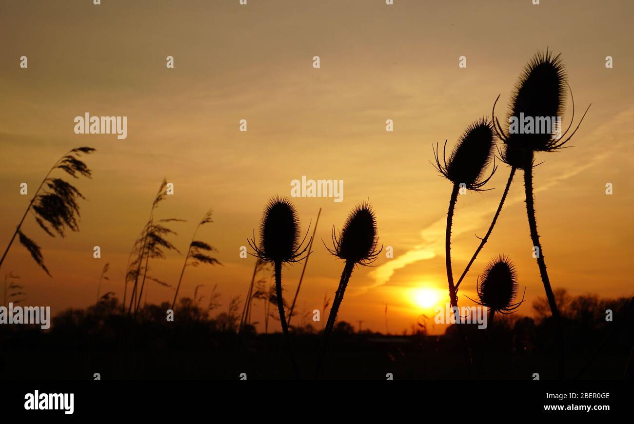 Levels of the sky hi-res stock photography and images - Alamy