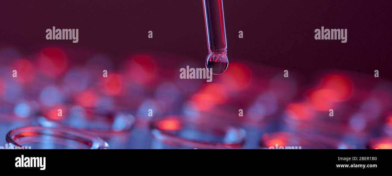 Test tube row. Concept of medical or science laboratory, liquid drop ...