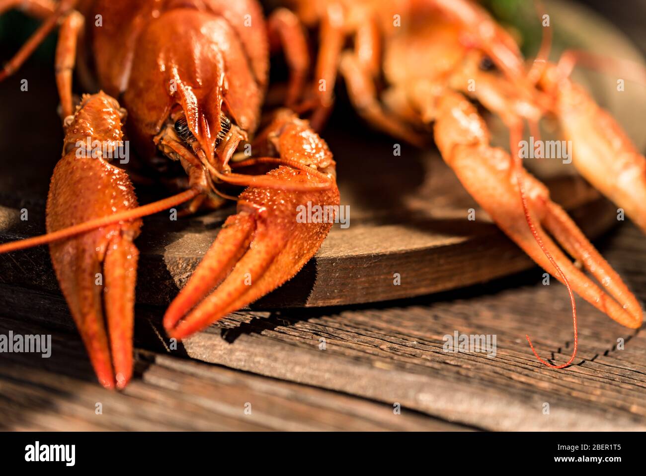 Boiled tasty crawfish with dill on rustic wooden background Stock Photo ...