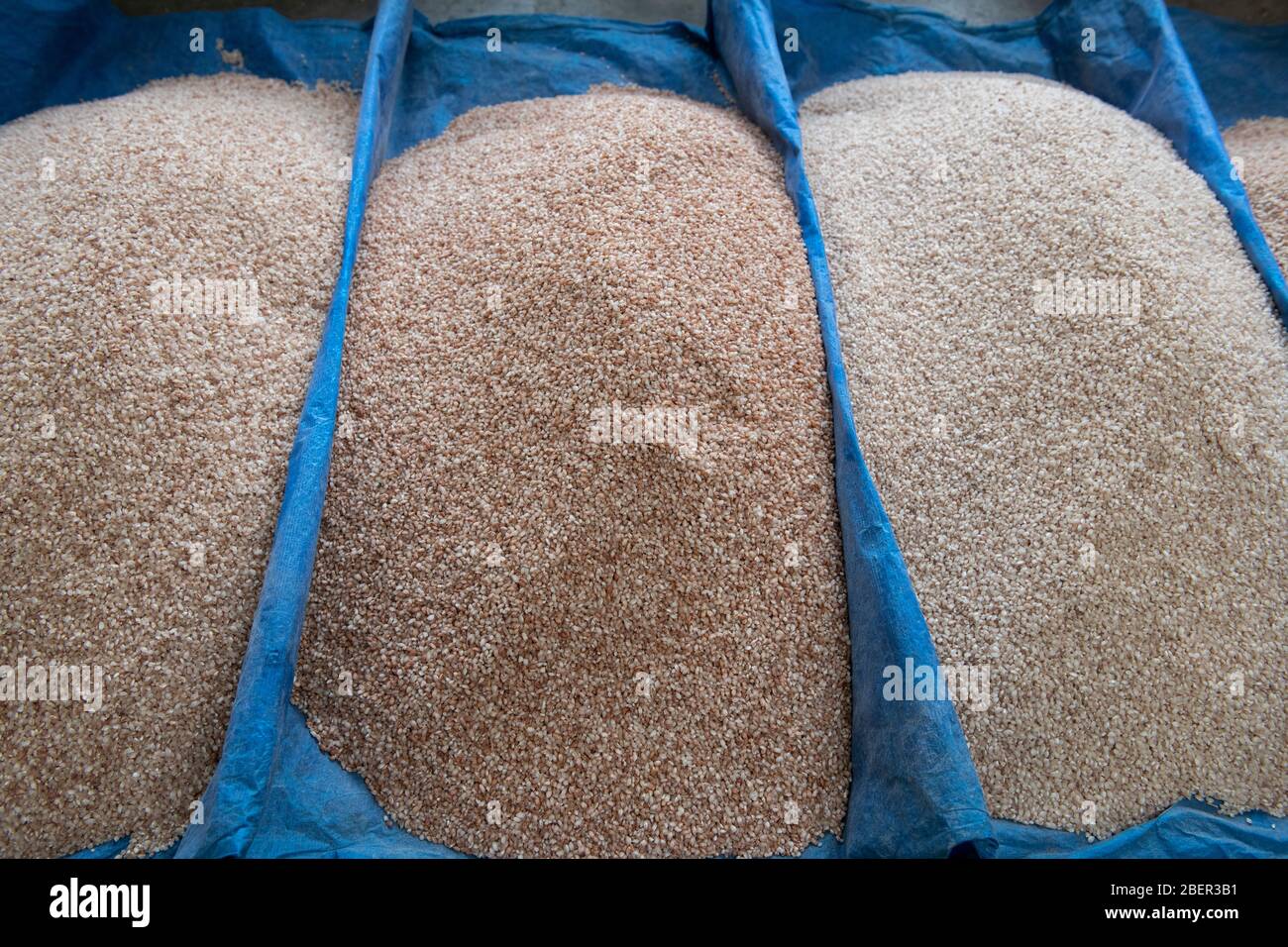 Bhutan, Thimphu. Local Farmer's Market. Detail of rice vendor display ...