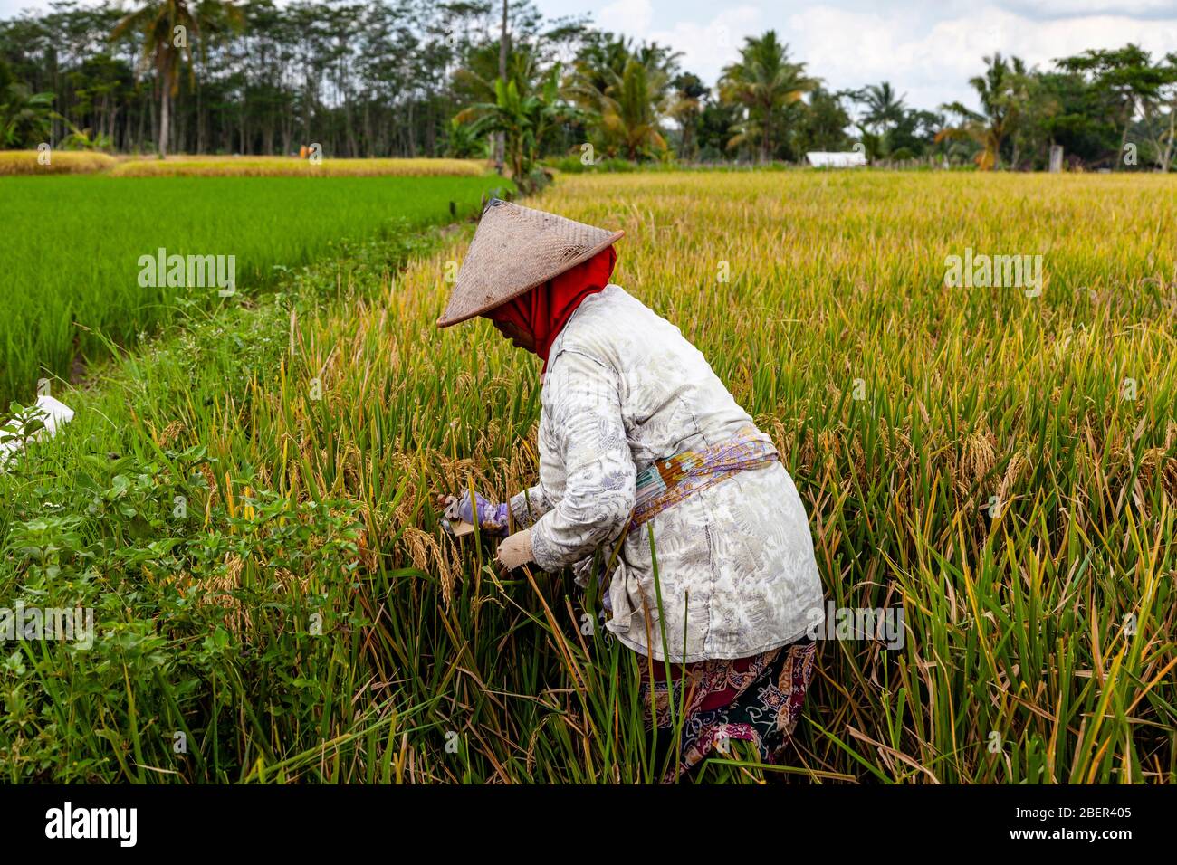 Female indonesian workers hi-res stock photography and images - Alamy
