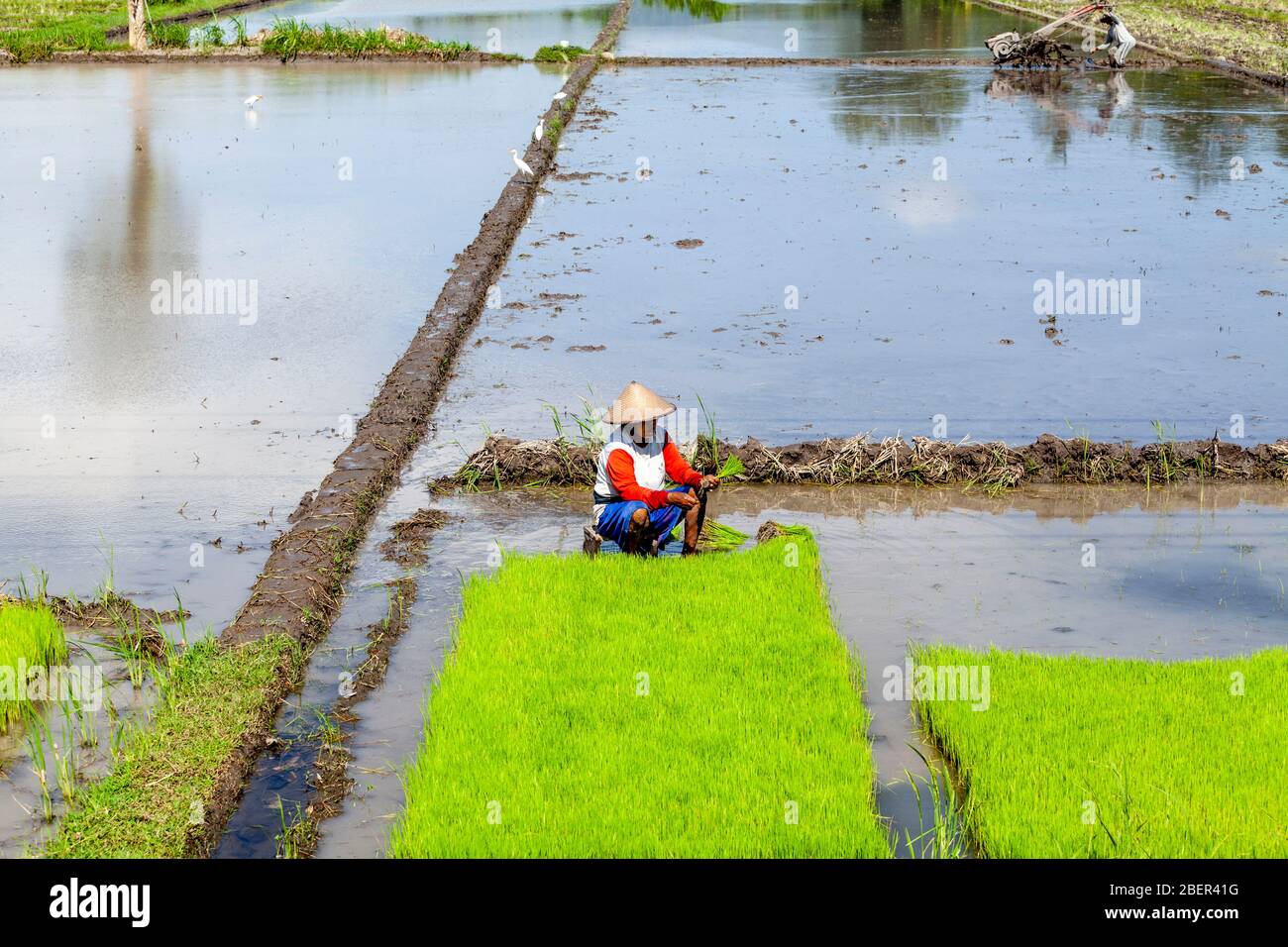 Female indonesian workers hi-res stock photography and images - Alamy